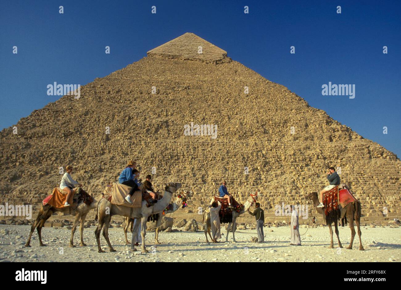 a Bedouin men with a Camel in front of pyramids of giza near the city ...