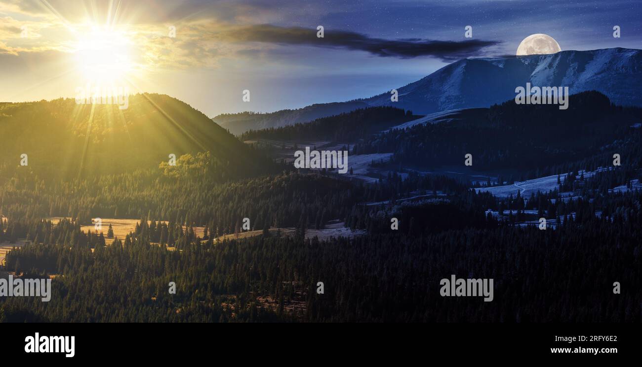 fir trees in the valley of apuseni mountain range with sun and moon at ...