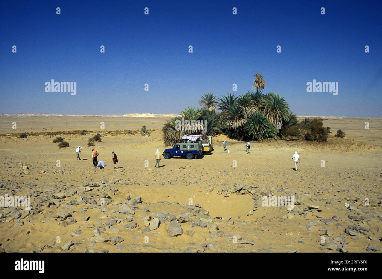 a Tourist Tour with Cars on a oasis in the Landscape and Nature in the ...