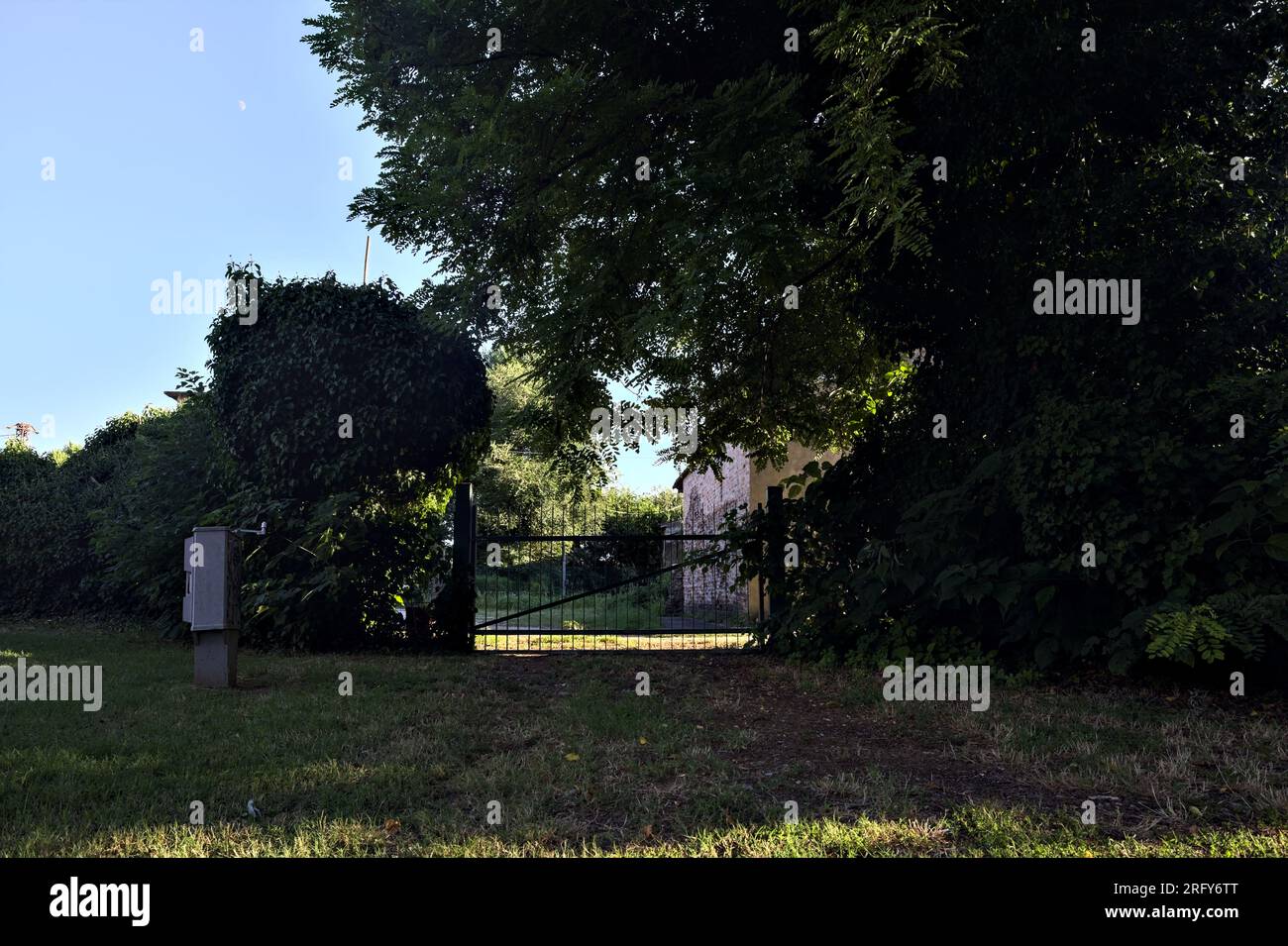 Gate under an arching tree in a park at sunset Stock Photo - Alamy