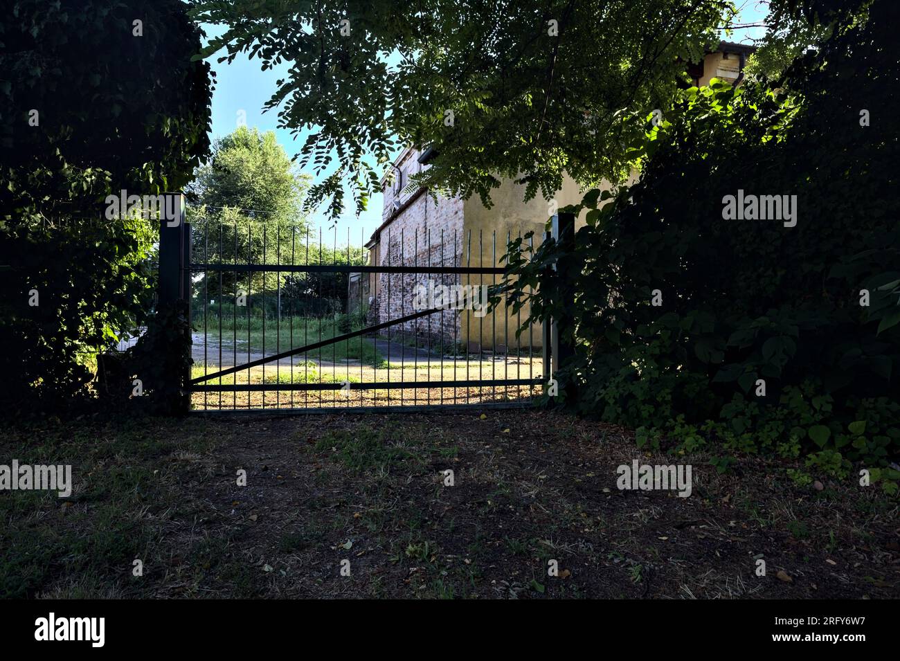 Outdoor scenery with an arching tree hi-res stock photography and ...