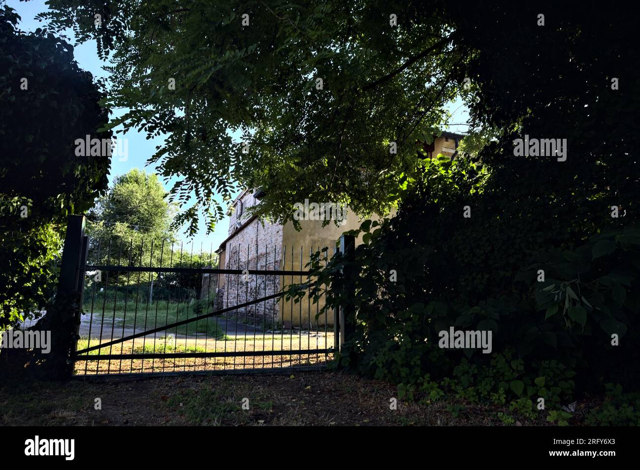 Gate under an arching tree in a park at sunset Stock Photo - Alamy
