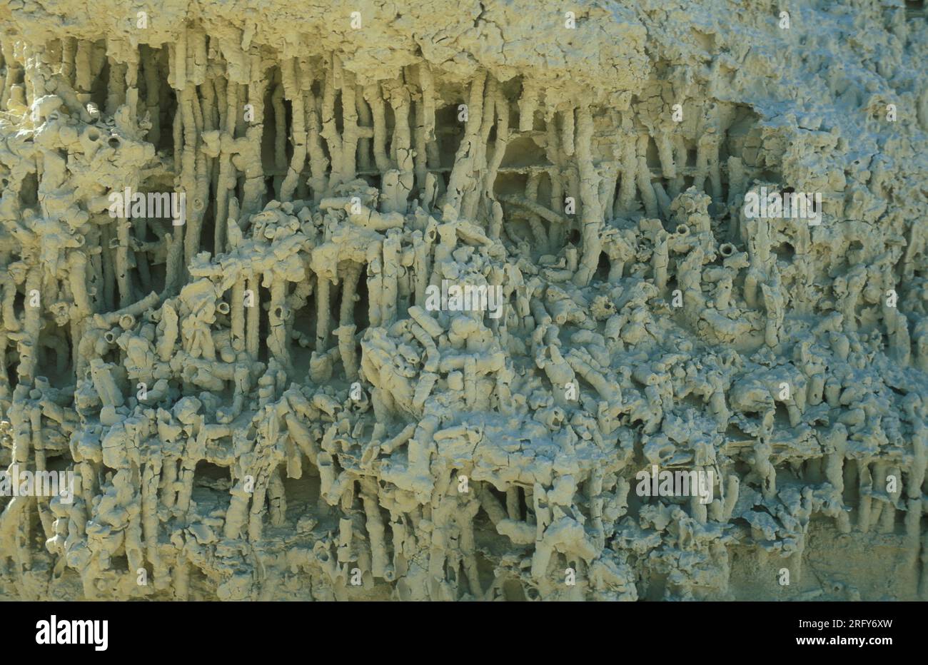 natural stone formations in the Landscape and Nature in the White ...