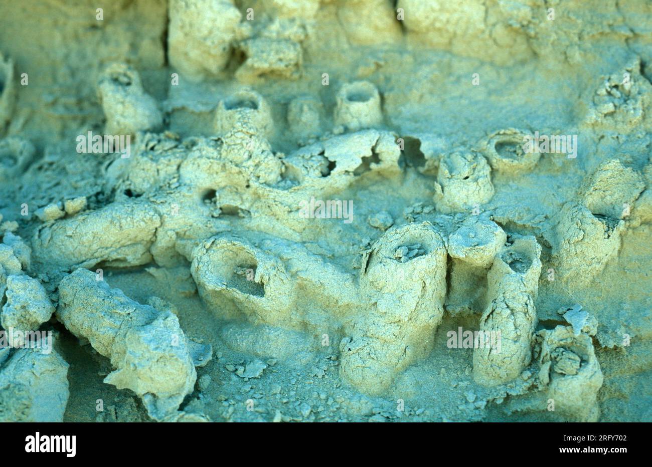 natural stone formations in the Landscape and Nature in the White ...