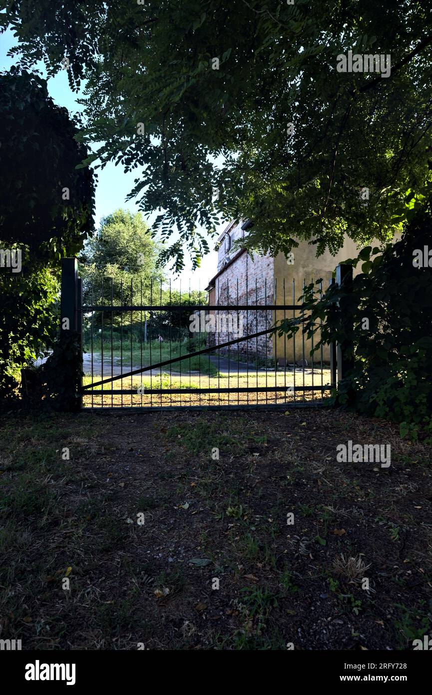 Gate under an arching tree in a park at sunset Stock Photo - Alamy