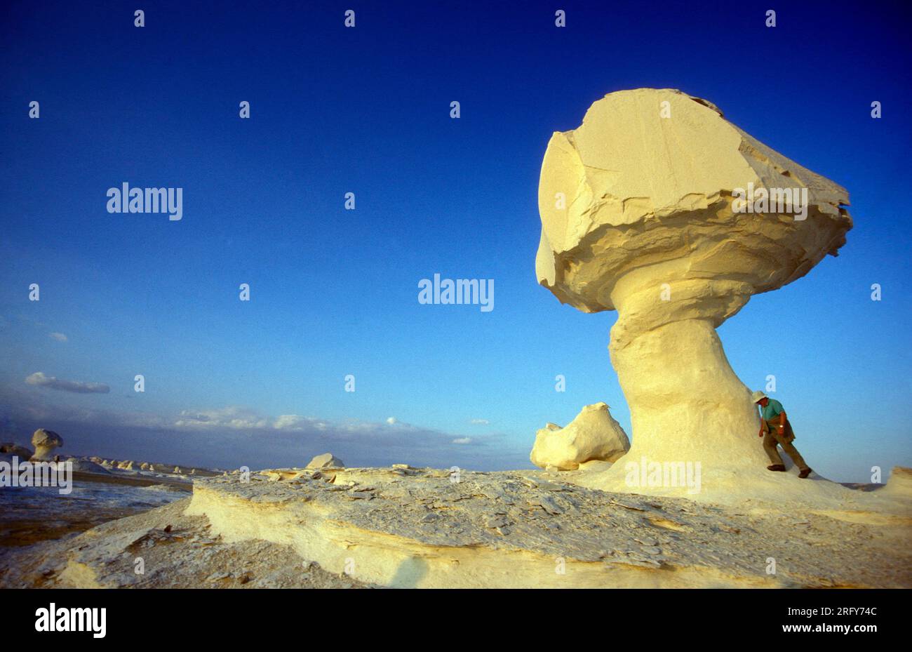 The Landscape and Nature in the White Desert near the Village of ...