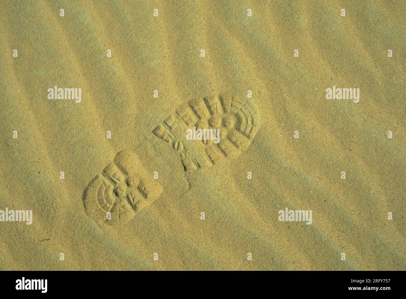 a shoe footprint in the Landscape and Nature in the White Desert near ...