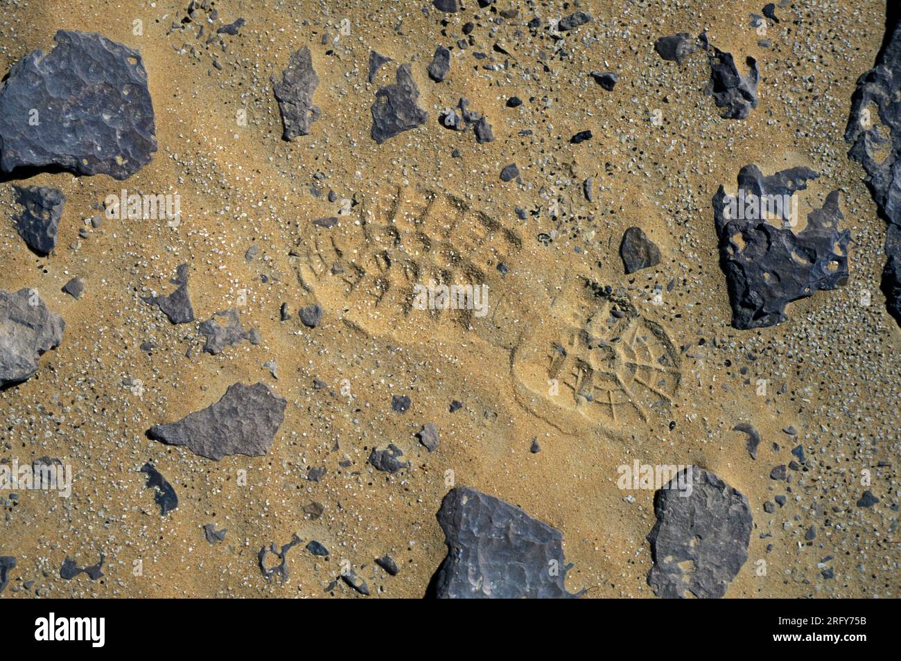 a shoe footprint in the Landscape and Nature in the White Desert near ...