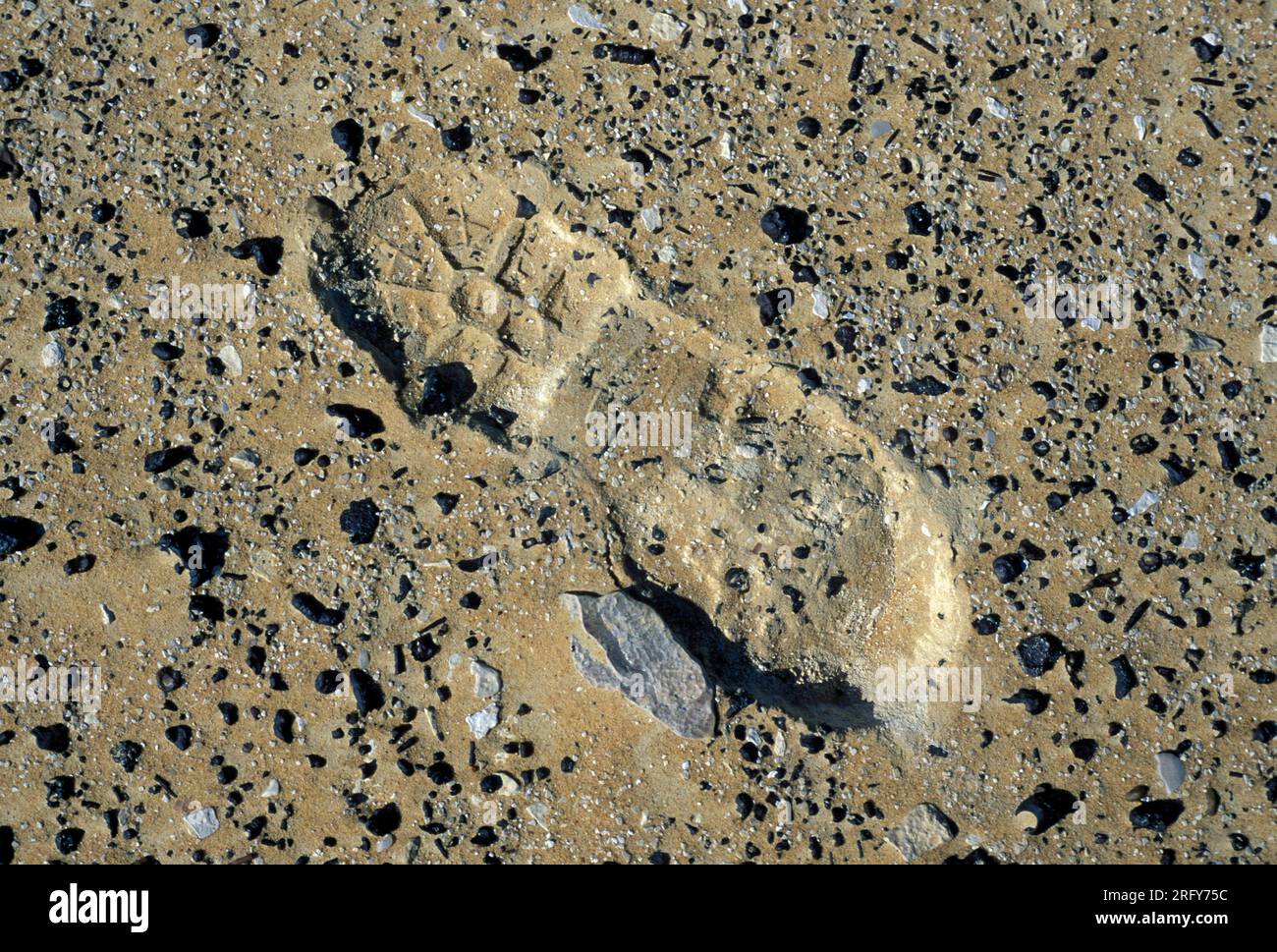 Print of a shoe in desert sand hi-res stock photography and images - Alamy