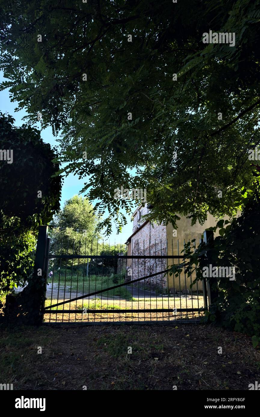 Gate under an arching tree in a park at sunset Stock Photo - Alamy