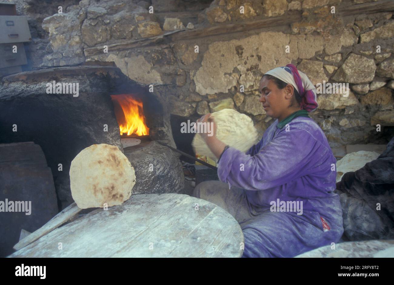 a women bake a Bread in the Town and Oasis of Farafra in the Libyan or ...