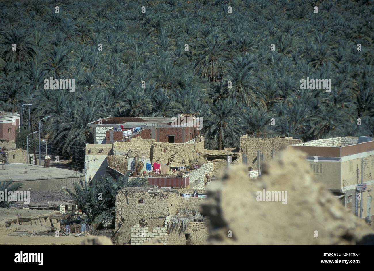 the old Village of Siwa in the Libyan or estern Desert of Egypt in ...