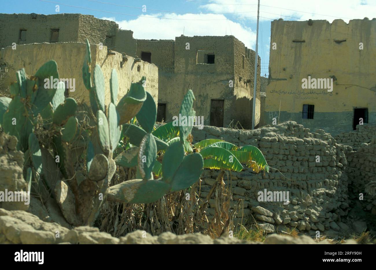 a house in the Town and Oasis of Farafra in the Libyan or estern Desert ...