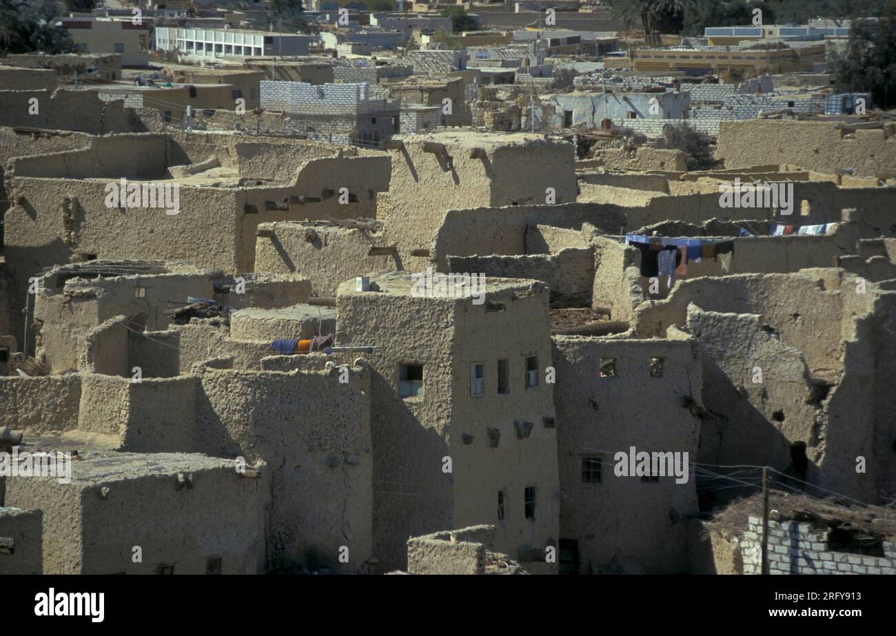 the old Village of Siwa in the Libyan or estern Desert of Egypt in ...