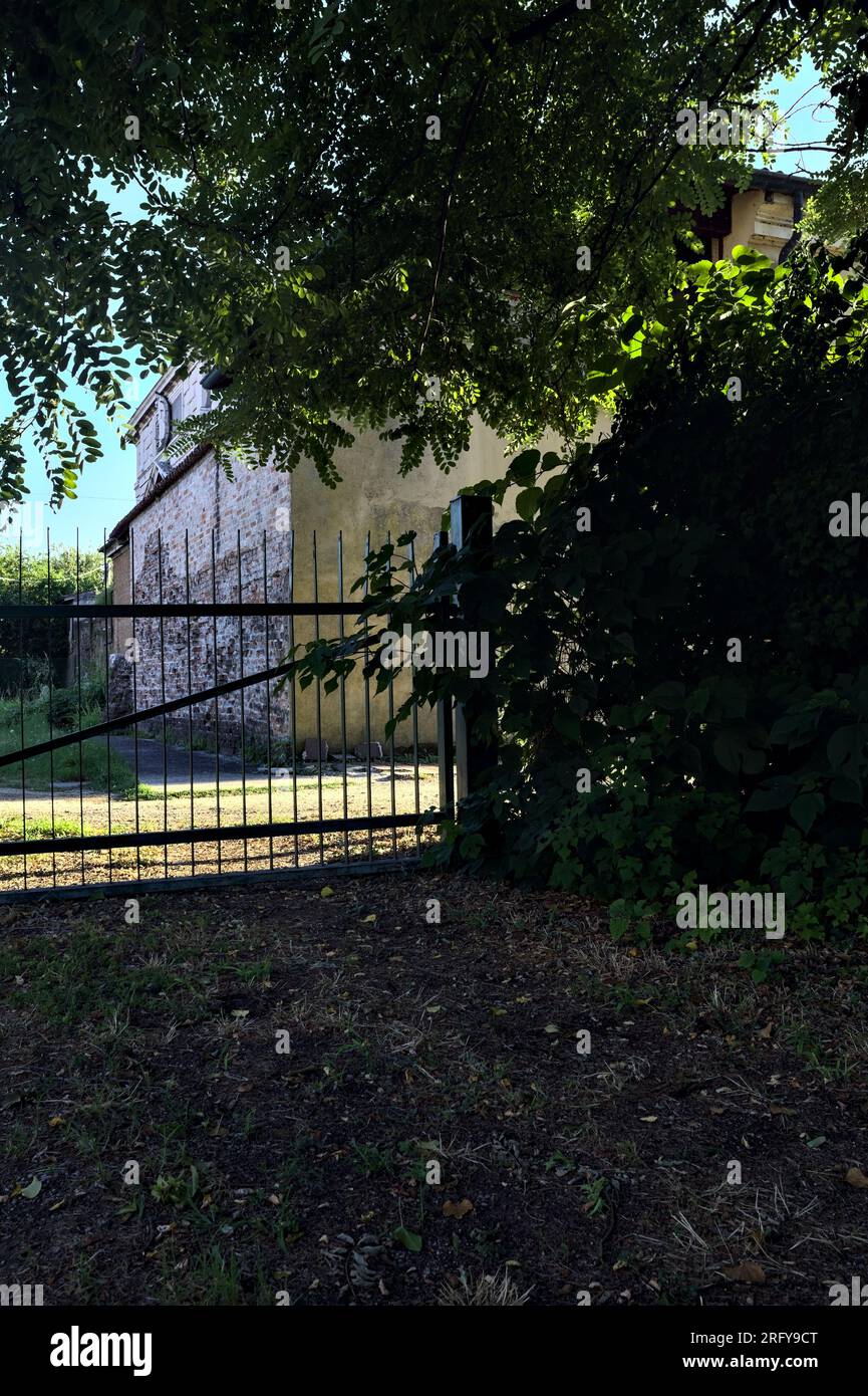 Gate under an arching tree in a park at sunset Stock Photo - Alamy
