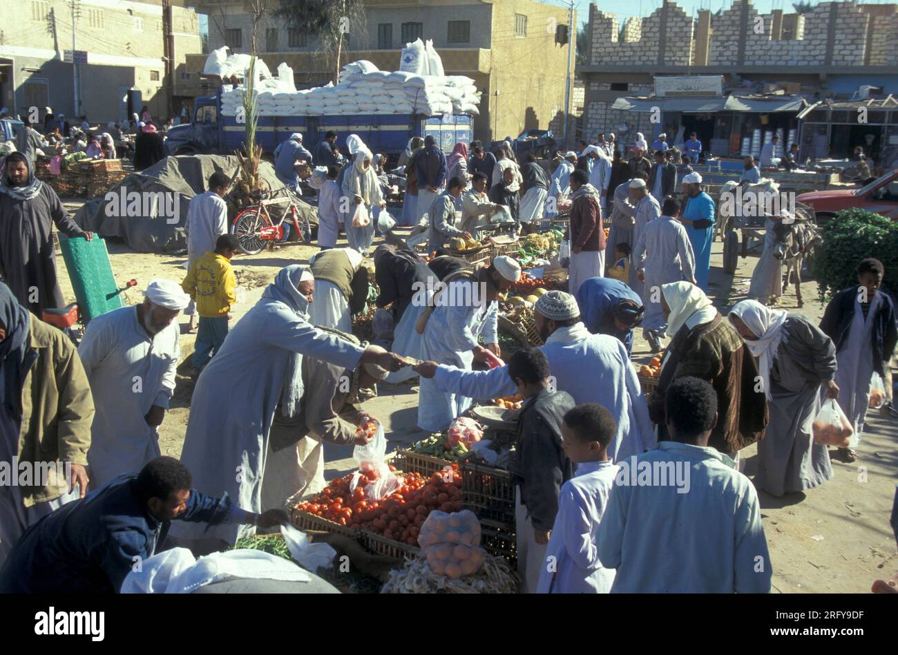 People at the Food Market in the old Village of Siwa in the Libyan or ...