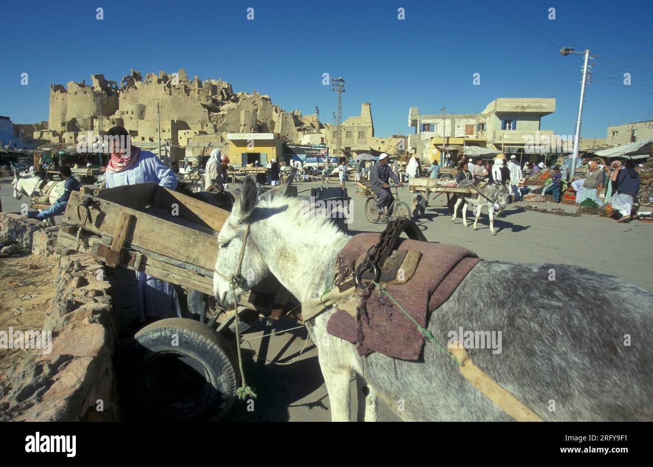 People at the Food Market in the old Village of Siwa in the Libyan or ...
