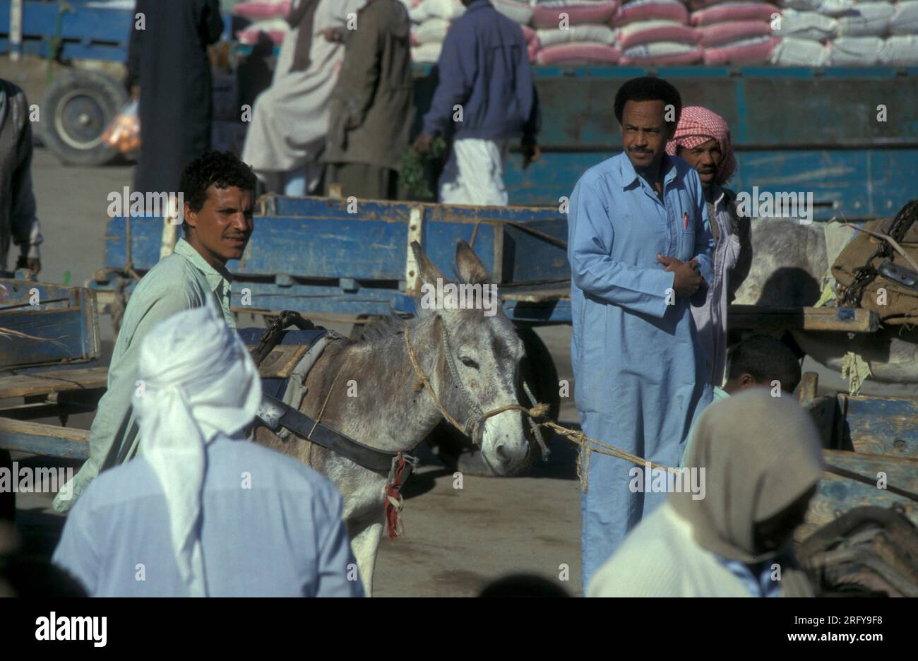People and Donkey at the Food Market in the old Village of Siwa in the ...