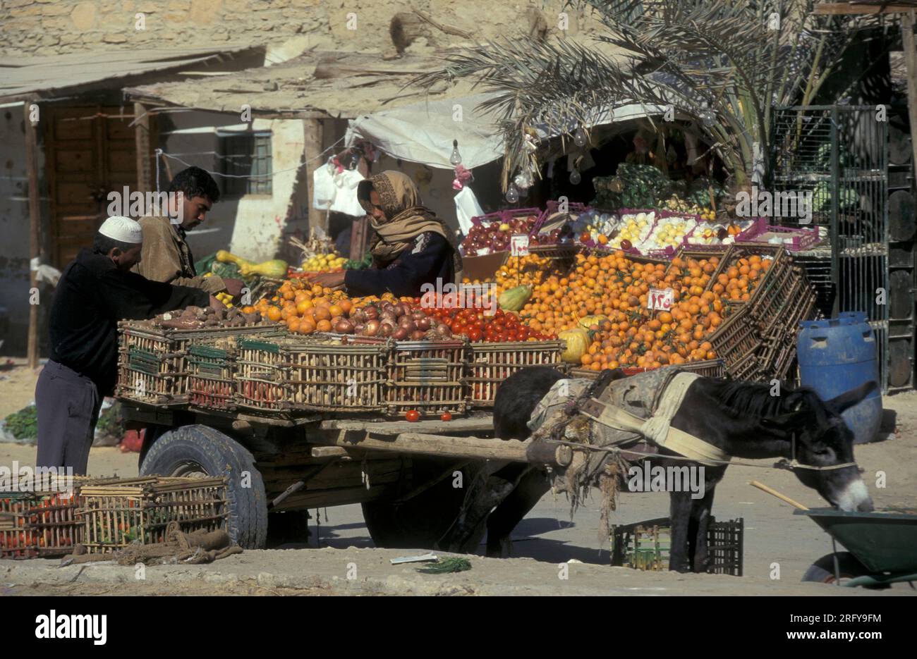 Fruits and Vegetable at the Food Market in the old Village of Siwa in ...