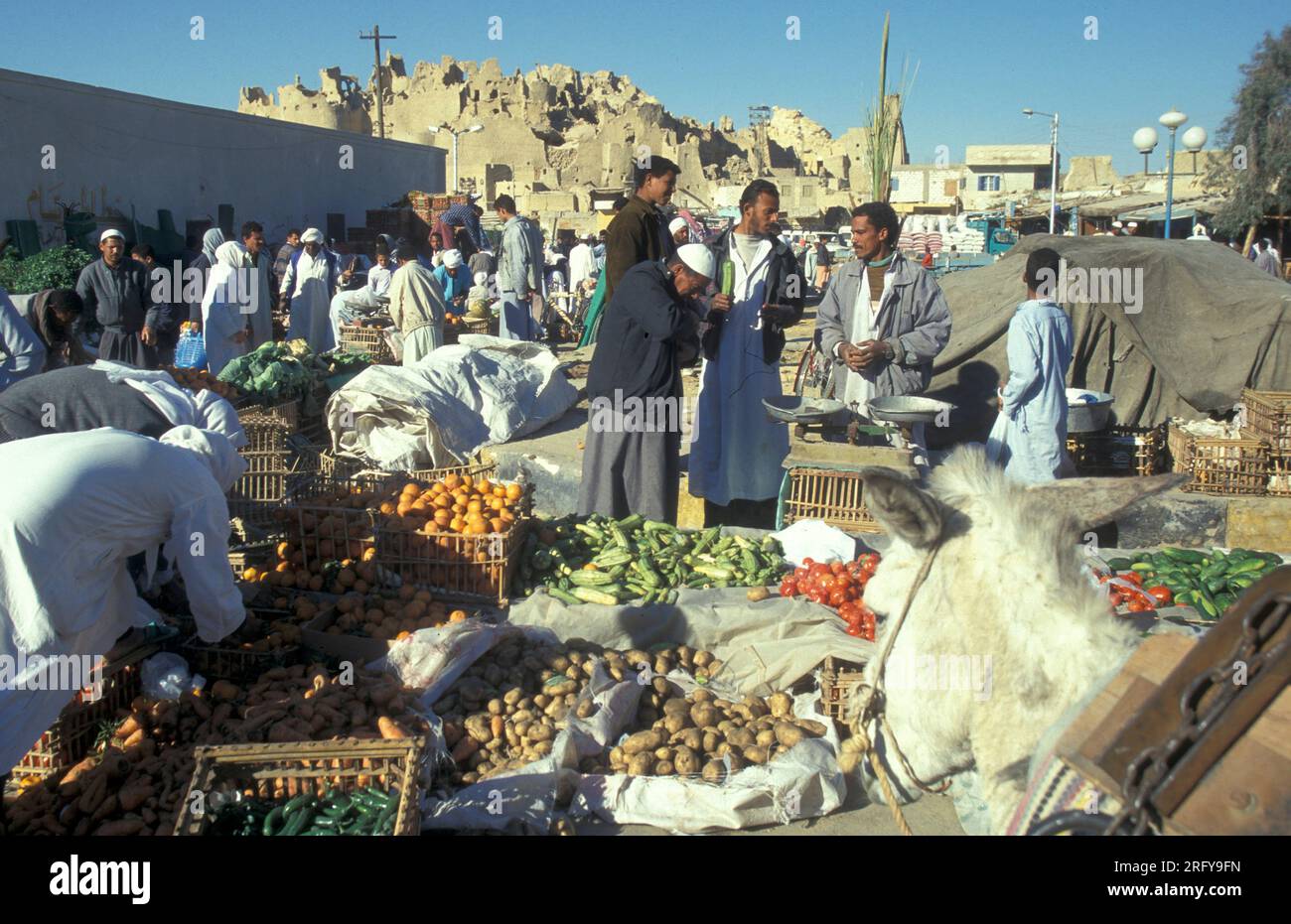 Fruits and Vegetable at the Food Market in the old Village of Siwa in ...