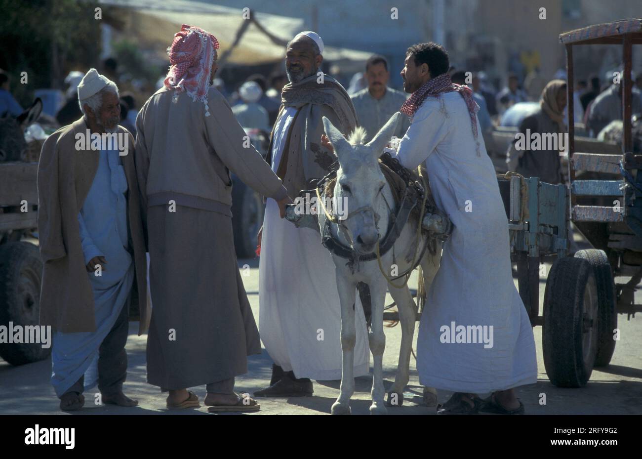 People and Donkey at the Food Market in the old Village of Siwa in the ...
