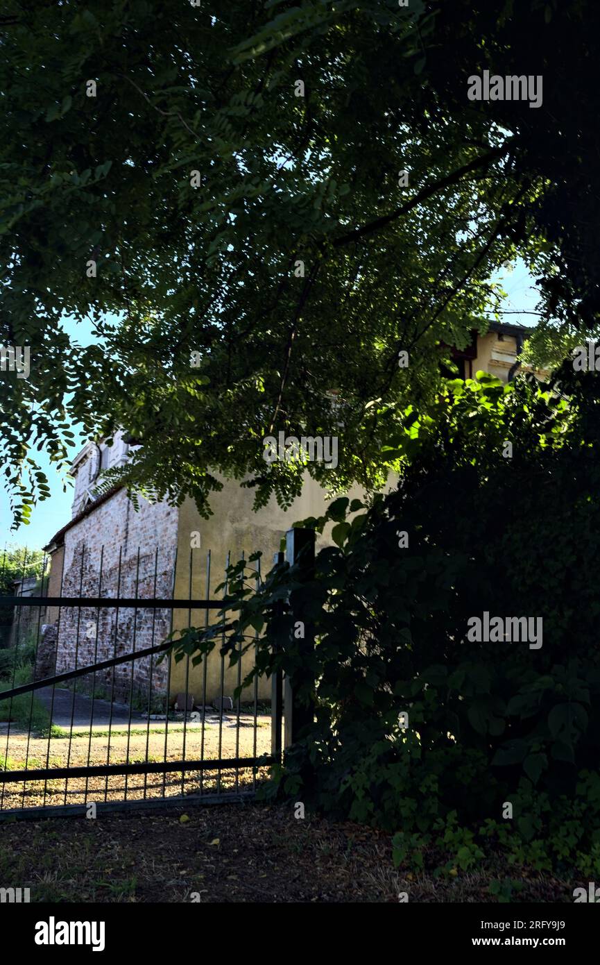 Gate under an arching tree in a park at sunset Stock Photo - Alamy