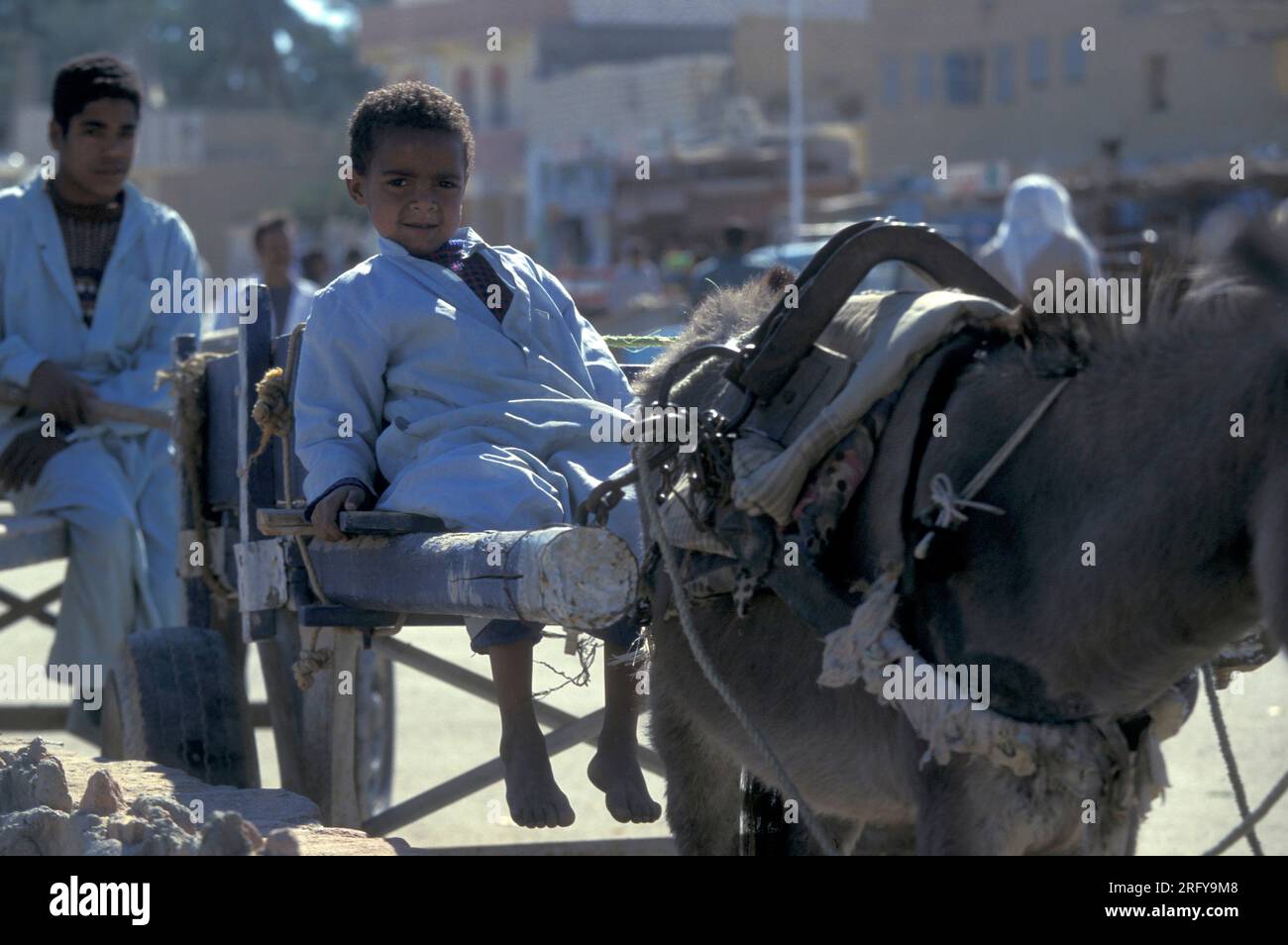 People at the Food Market in the old Village of Siwa in the Libyan or ...
