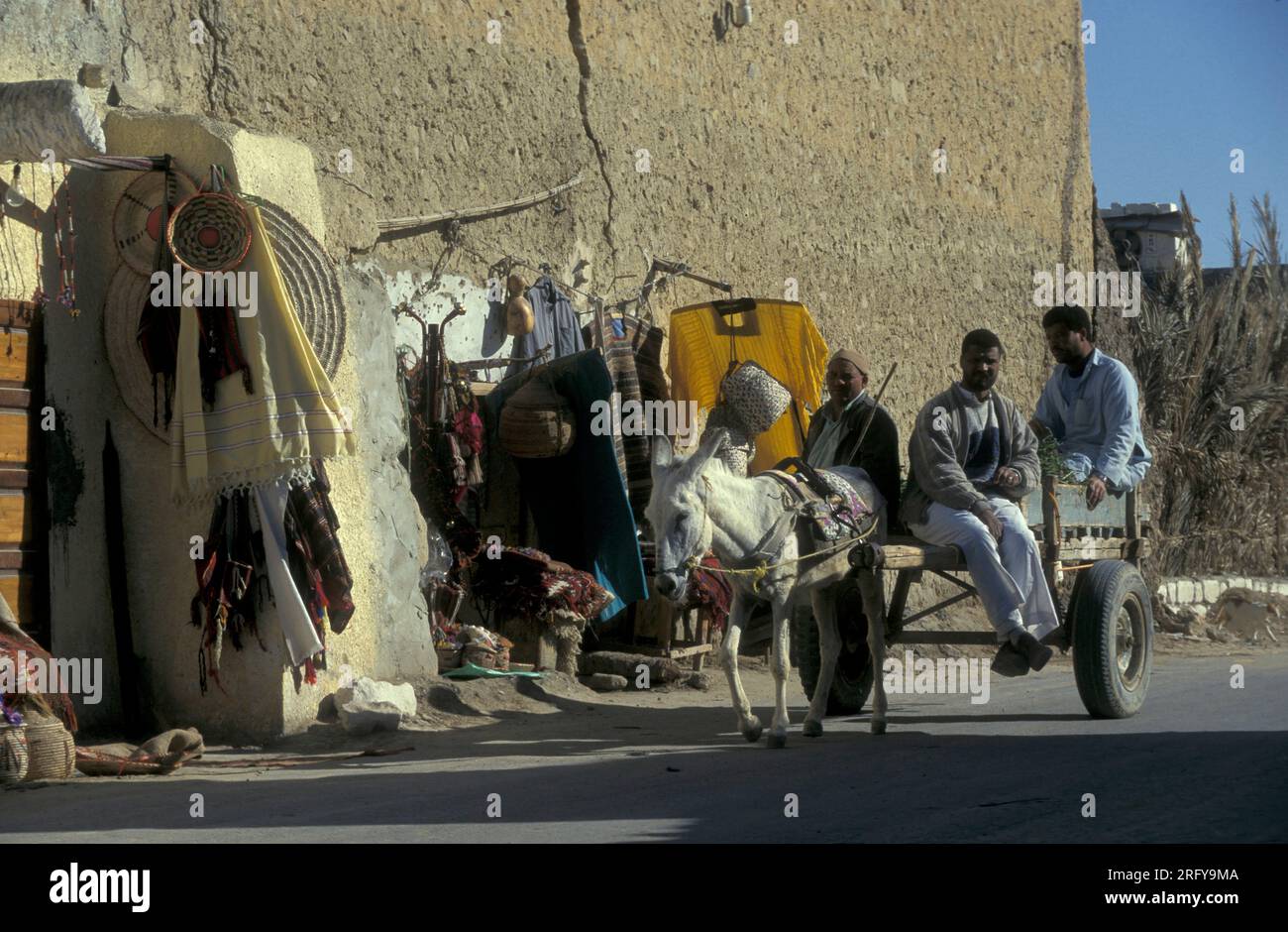 People at the Food Market in the old Village of Siwa in the Libyan or ...