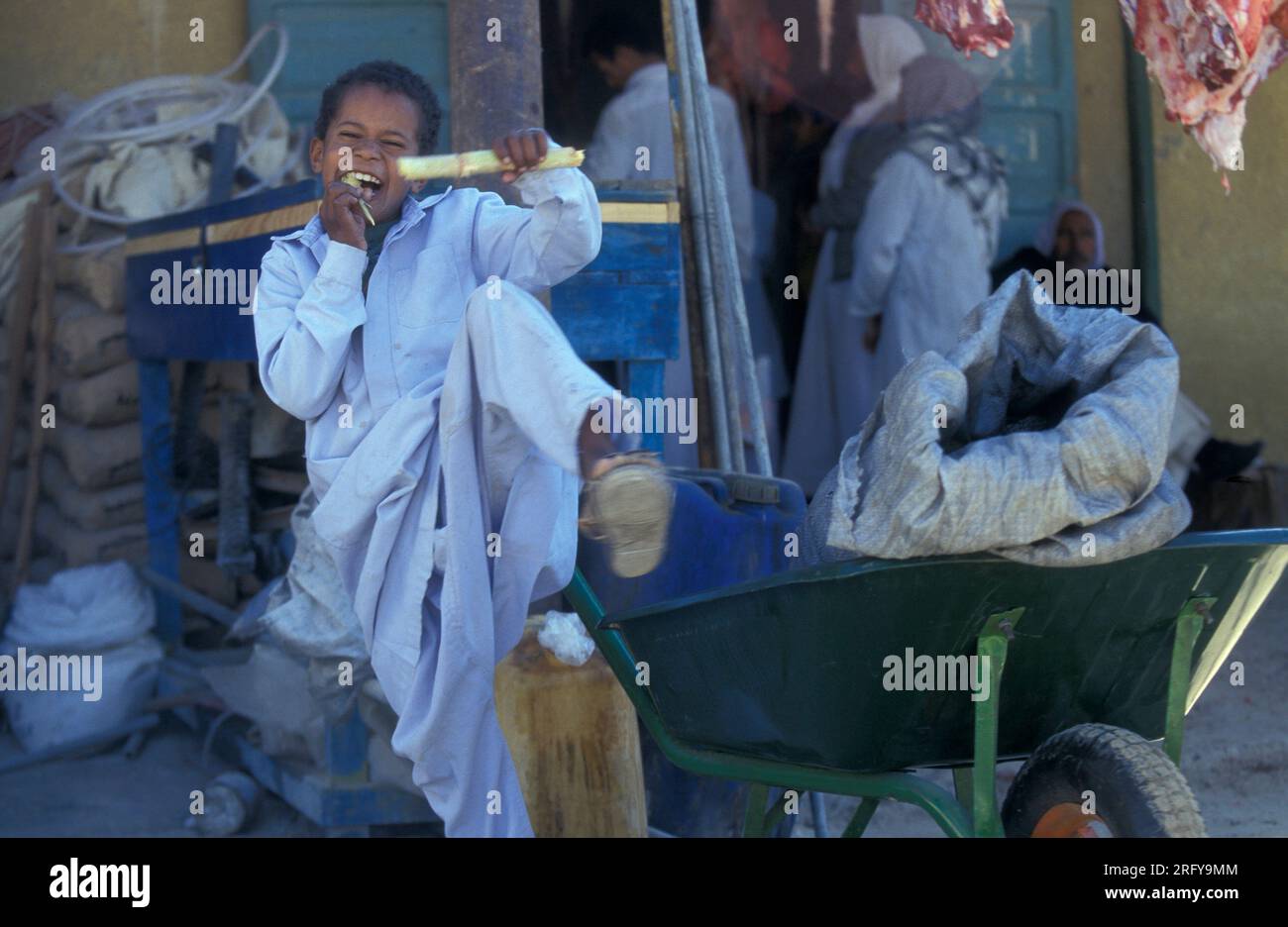 a Boy at the Food Market in the old Village of Siwa in the Libyan or ...