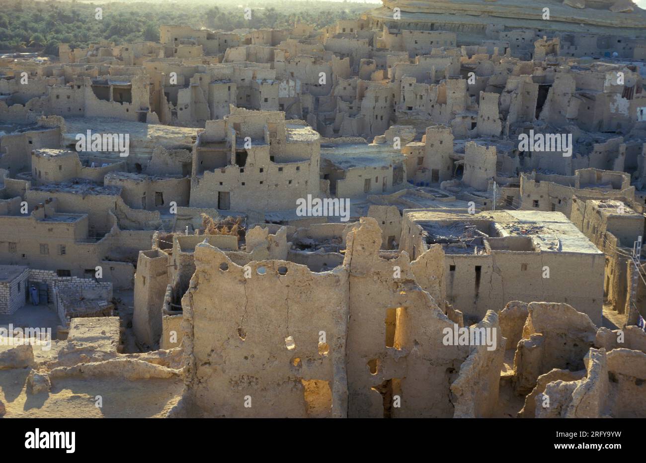 the old Village of Siwa in the Libyan or estern Desert of Egypt in ...