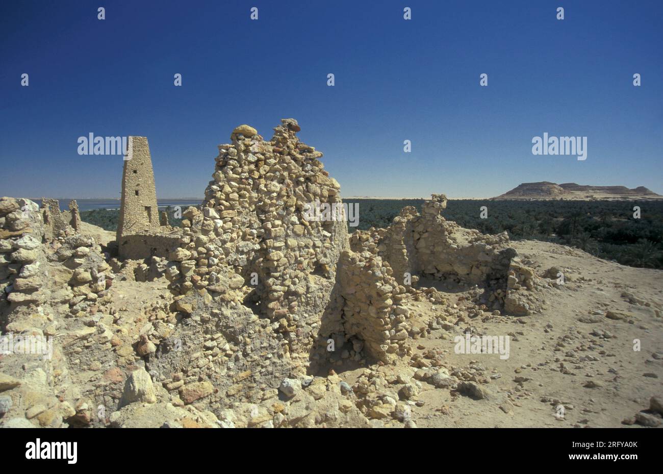 the old Village of Siwa in the Libyan or estern Desert of Egypt in ...