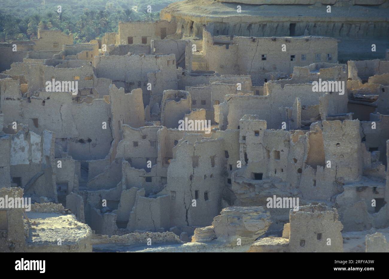 the old Village of Siwa in the Libyan or estern Desert of Egypt in ...