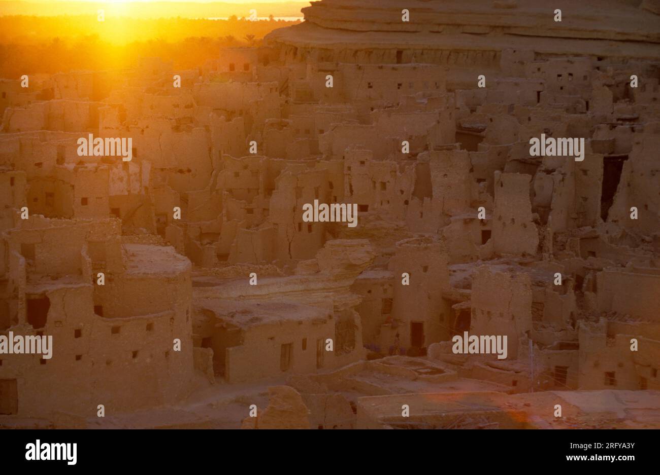 the old Village of Siwa in the Libyan or estern Desert of Egypt in ...
