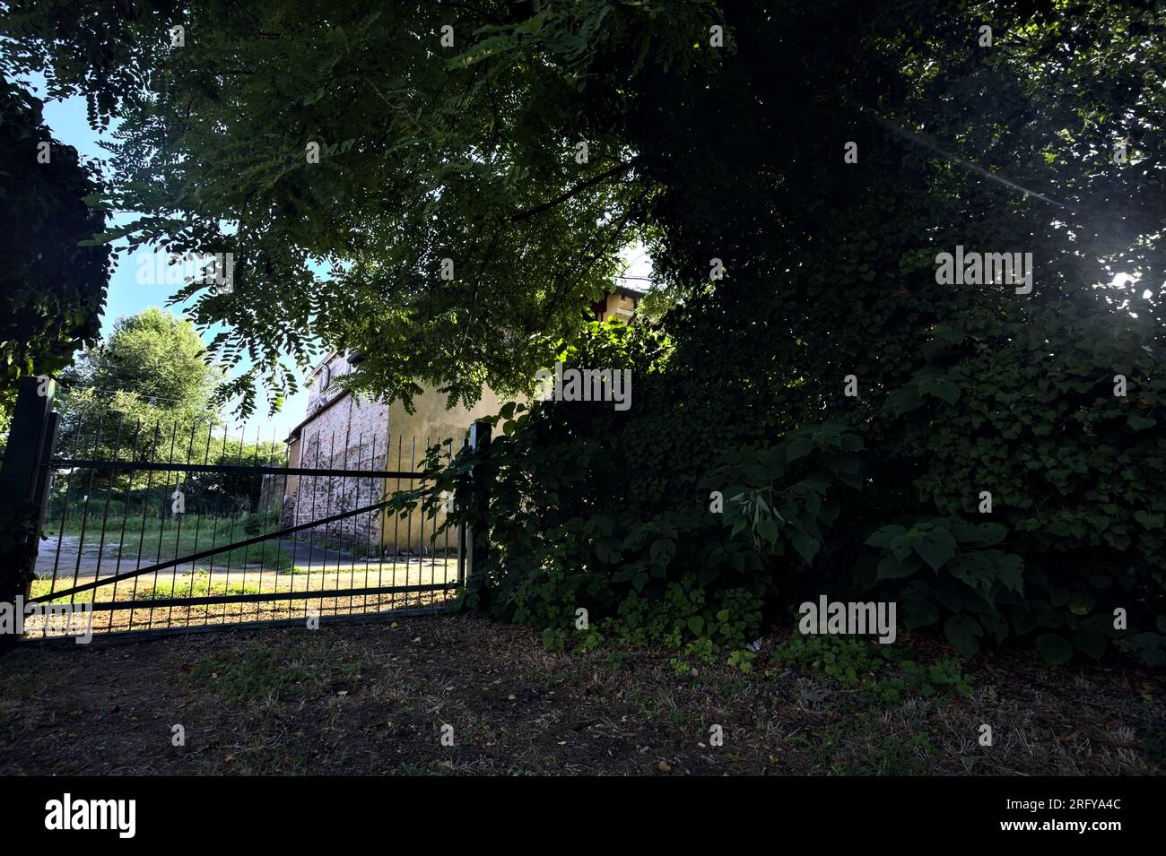 Outdoor scenery with an arching tree hi-res stock photography and ...