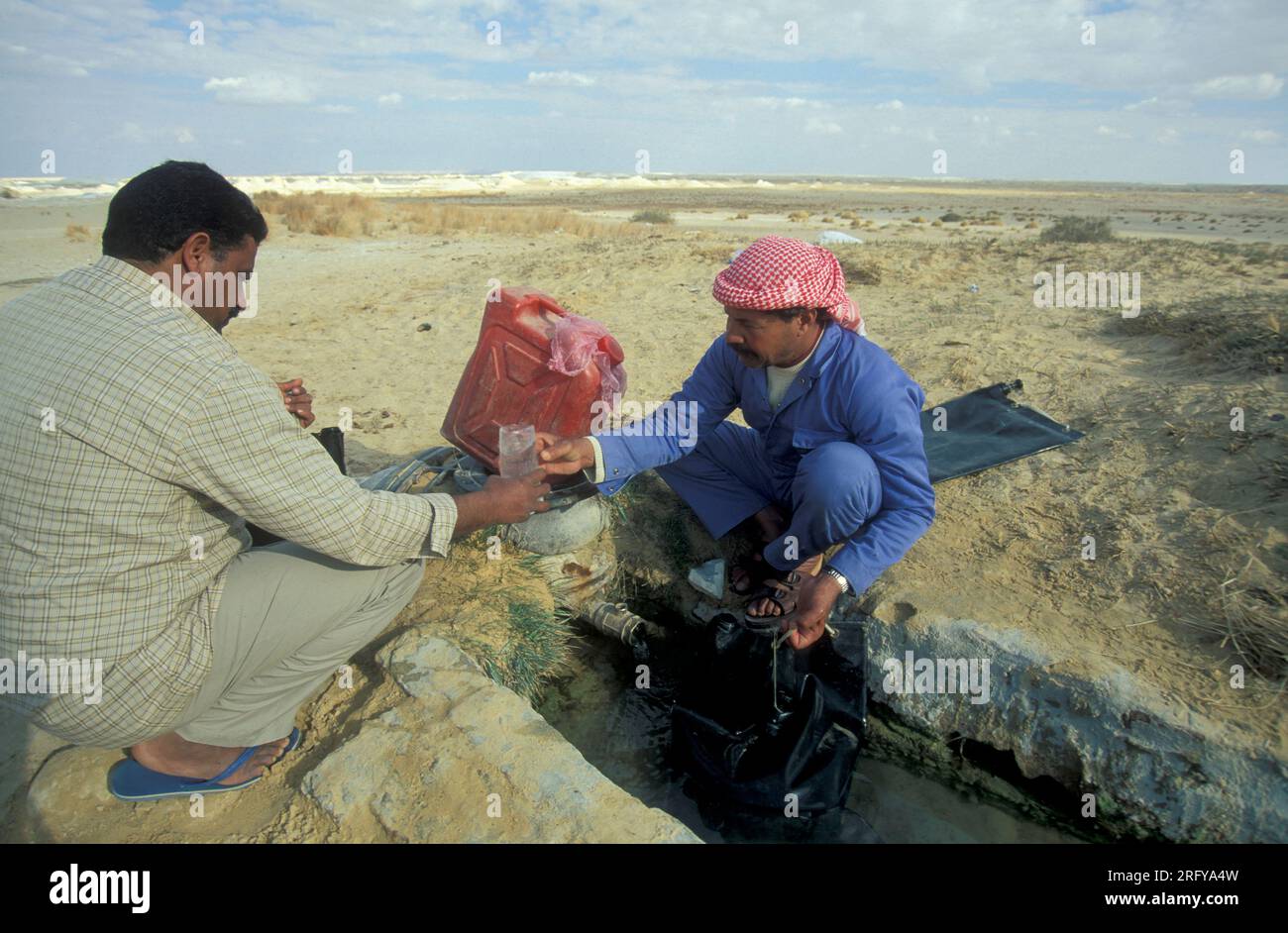 a fresh water spring at the old Village of Siwa in the Libyan or estern ...