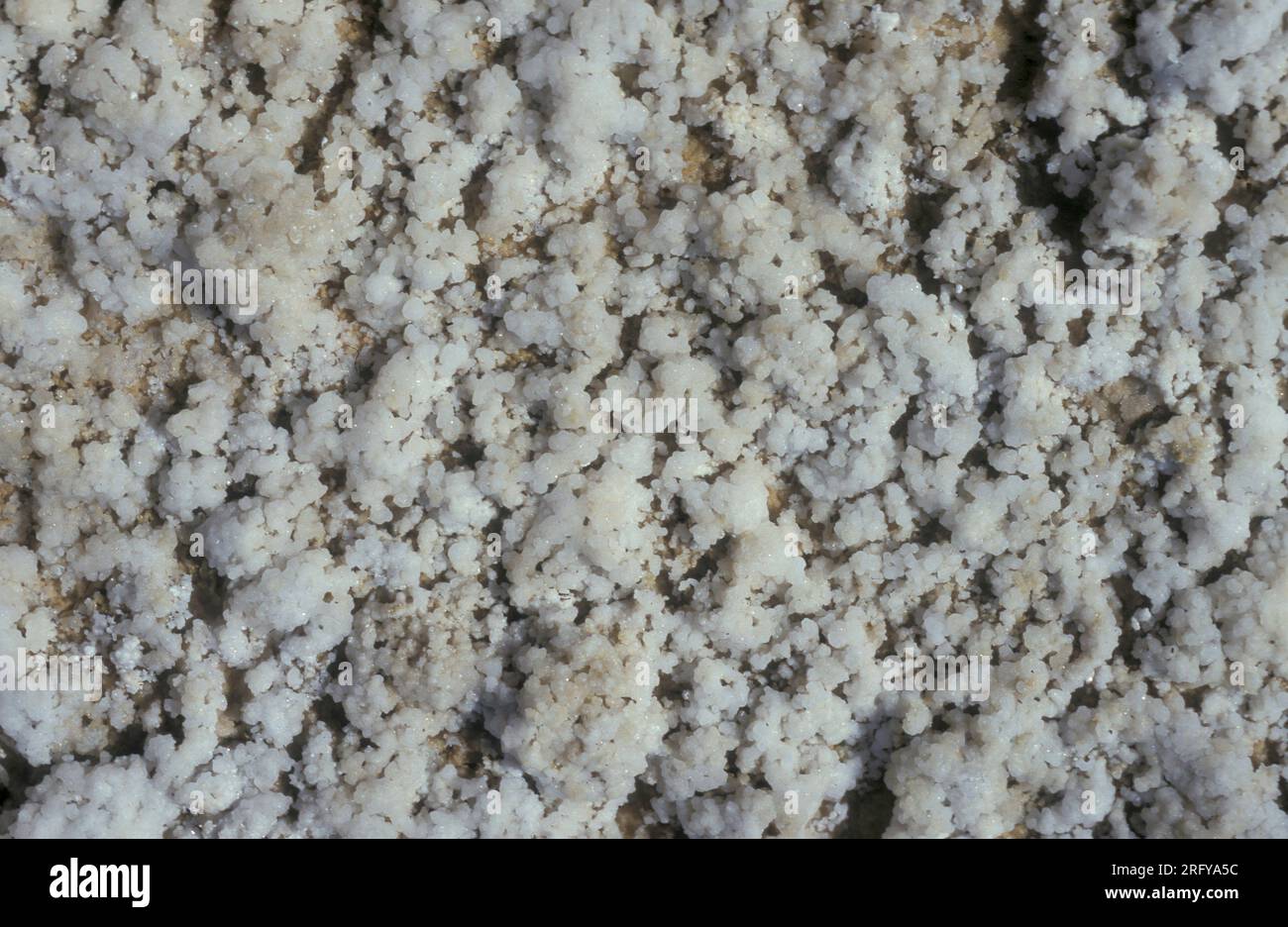 Salt of the Salt Lake and Lake Siwa at the old Village of Siwa in the ...