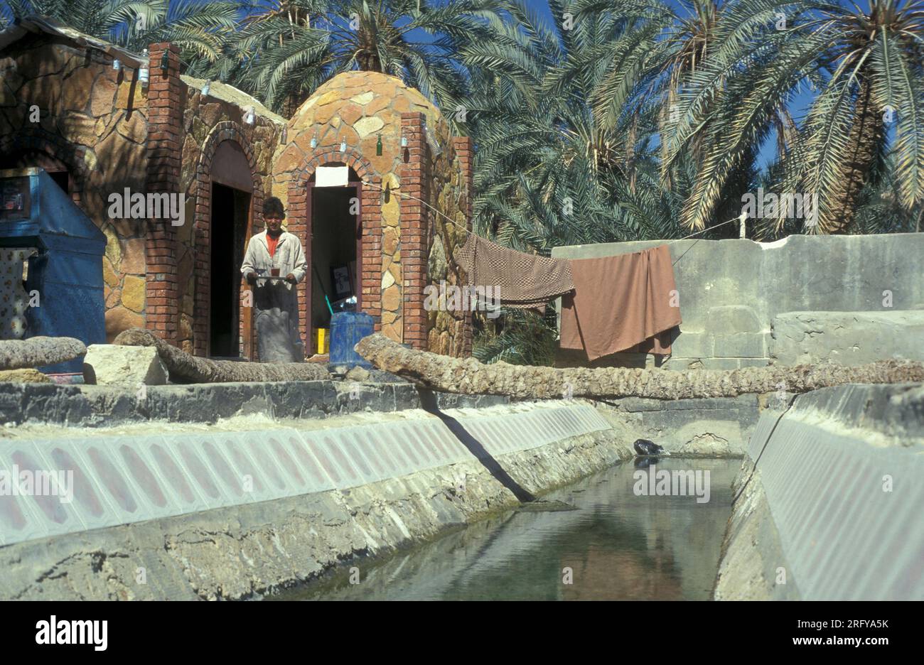 a fresh water spring at the old Village of Siwa in the Libyan or estern ...
