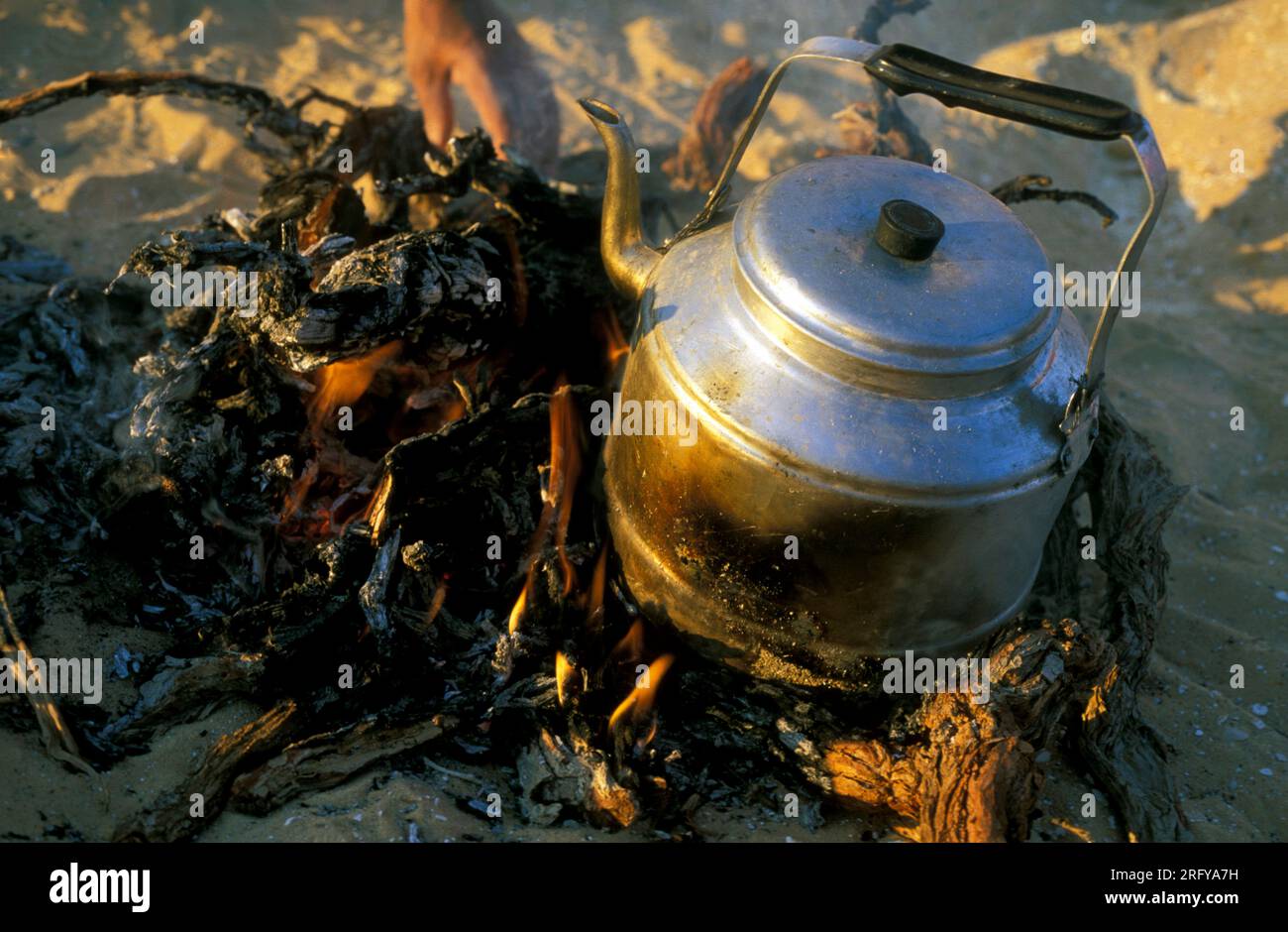 tea on the Fire in the Landscape and Nature in the White Desert near ...