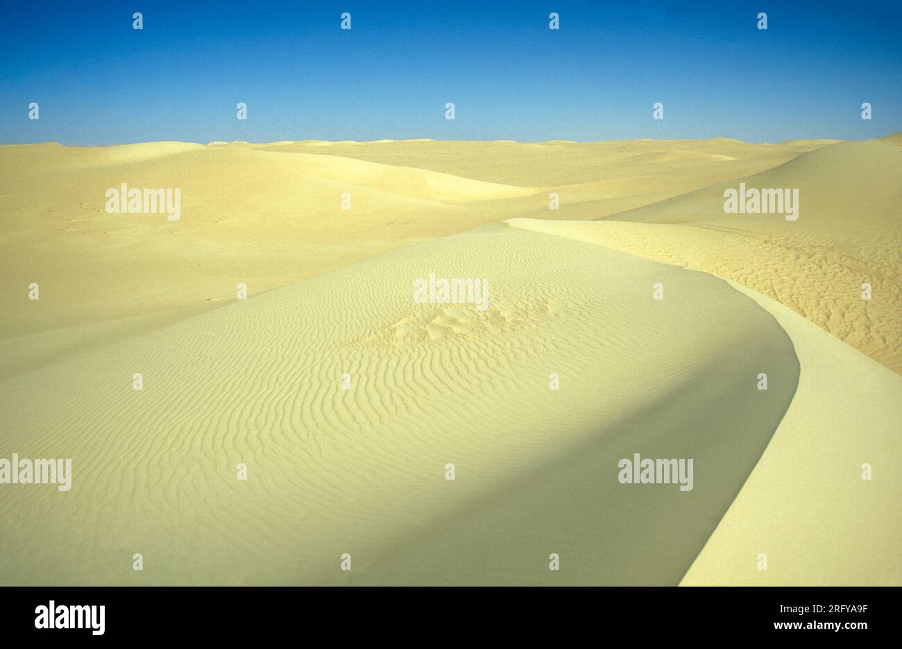 the Sand Dunes near the Oasis and Village of Siwa in the Libyan or ...