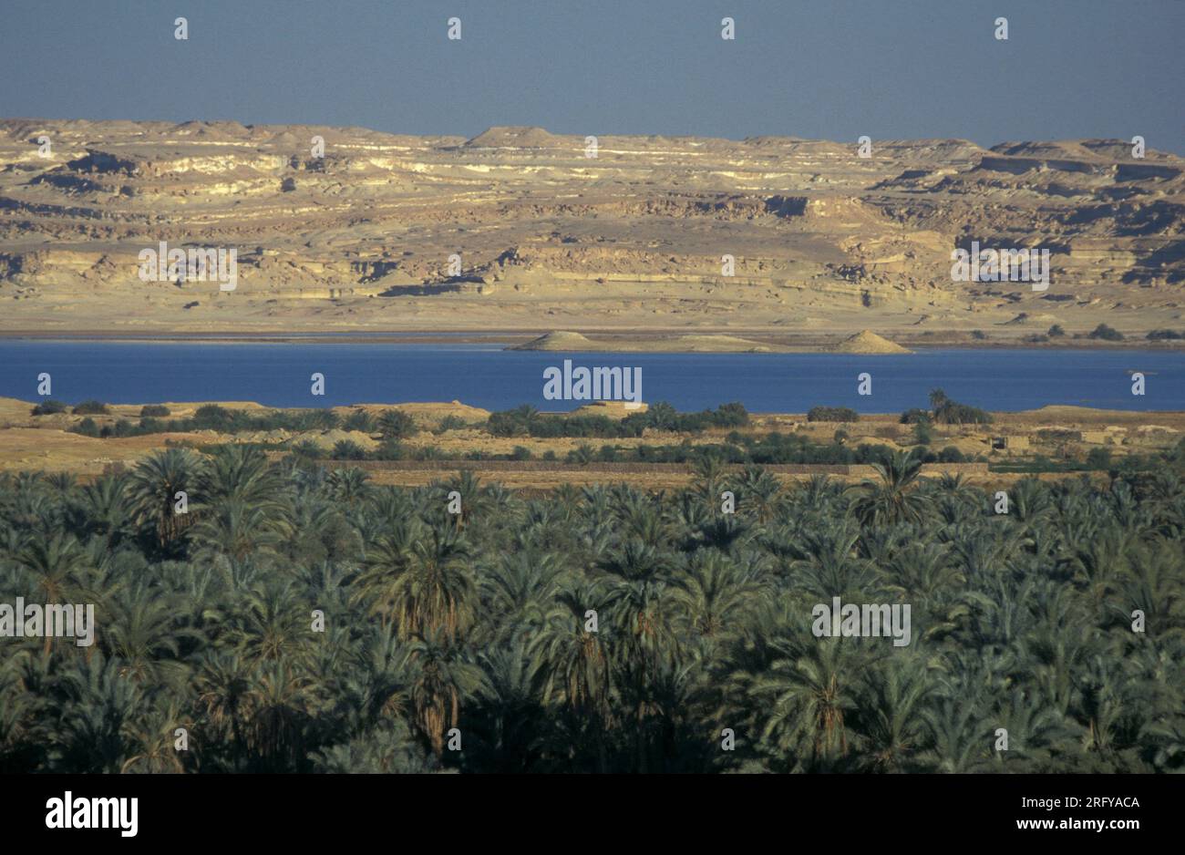 the Landscape and nature of the Salt Lake and Lake Siwa at the old ...