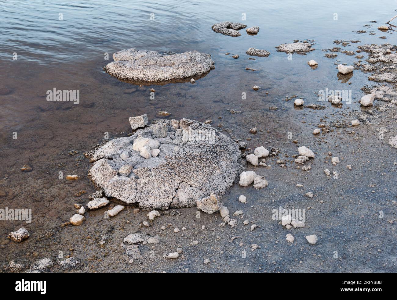 Cyanobacteria fossil hi-res stock photography and images - Alamy