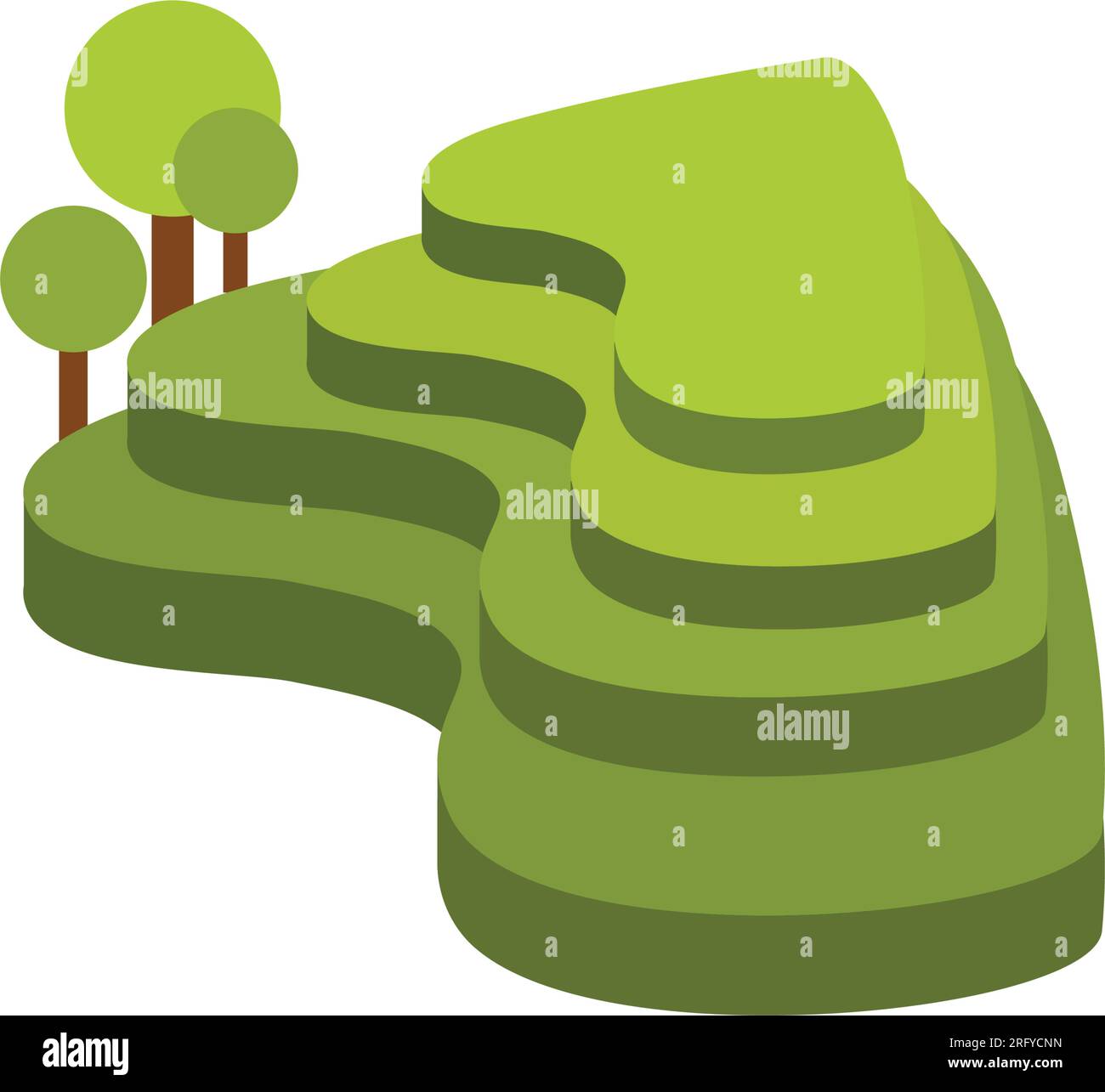 Rice field green grass Cut Out Stock Images & Pictures - Alamy
