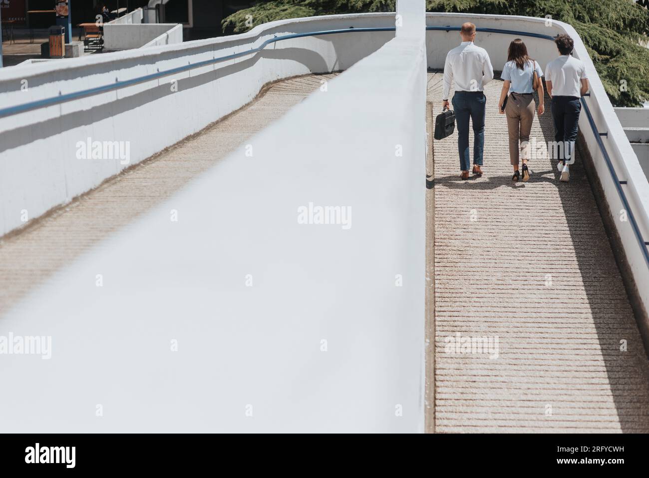 Three young businesspeople walking down the path turned backwards ...