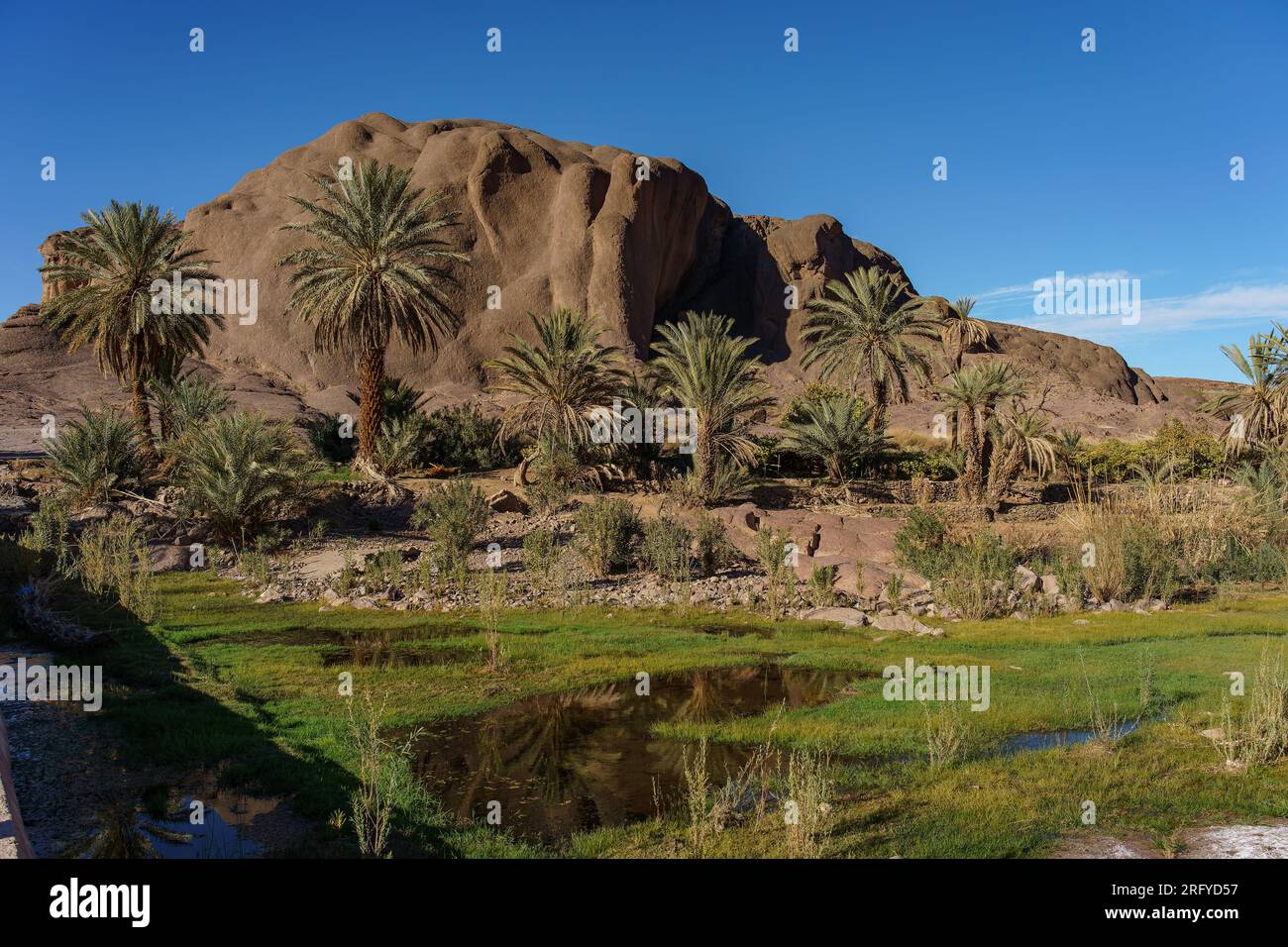 North Africa. Morocco. Oasis of Fint. River and palm groove Stock Photo ...