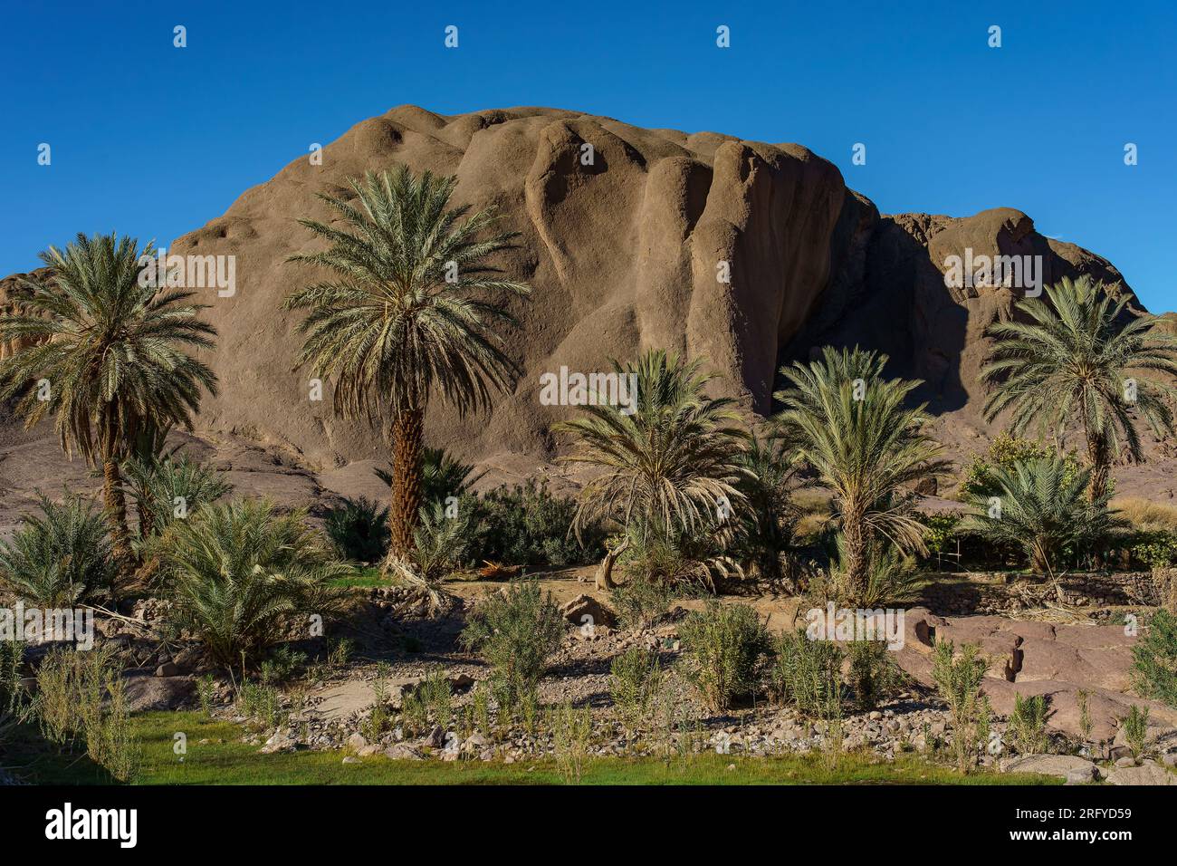 Fint morocco hi-res stock photography and images - Alamy