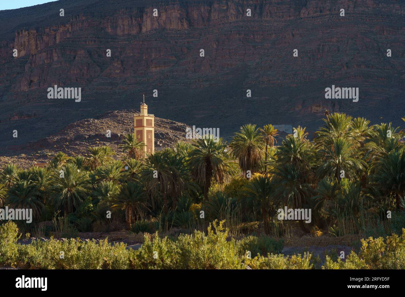 North Africa. Morocco. Oasis of Fint. River and palm groove, the ...