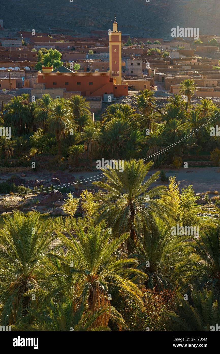North Africa. Morocco. Oasis of Fint. River and palm groove, the ...