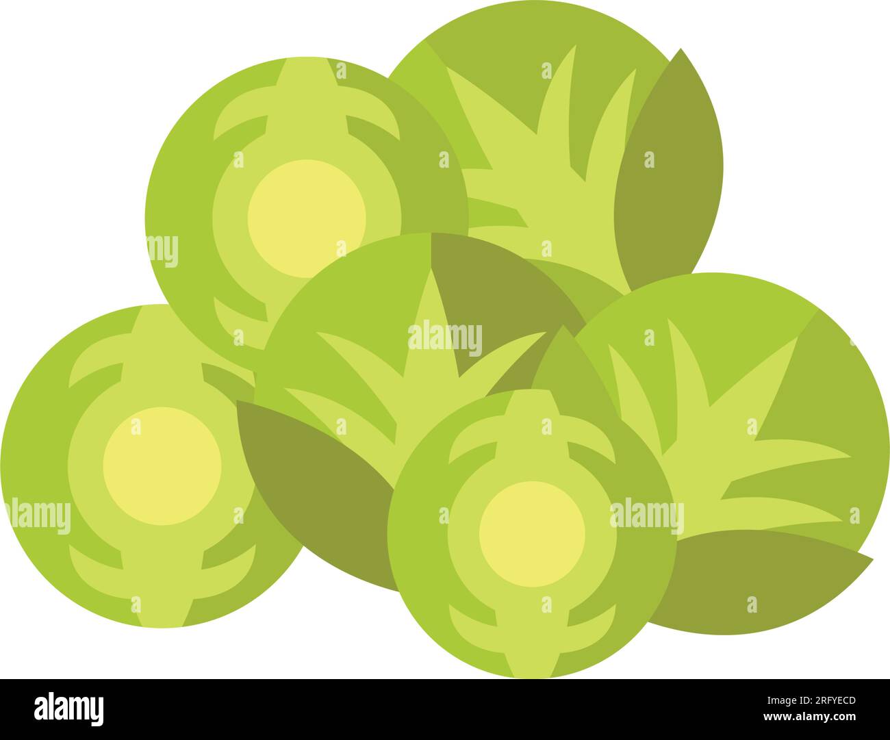 Sprouts belgium Stock Vector Images - Alamy