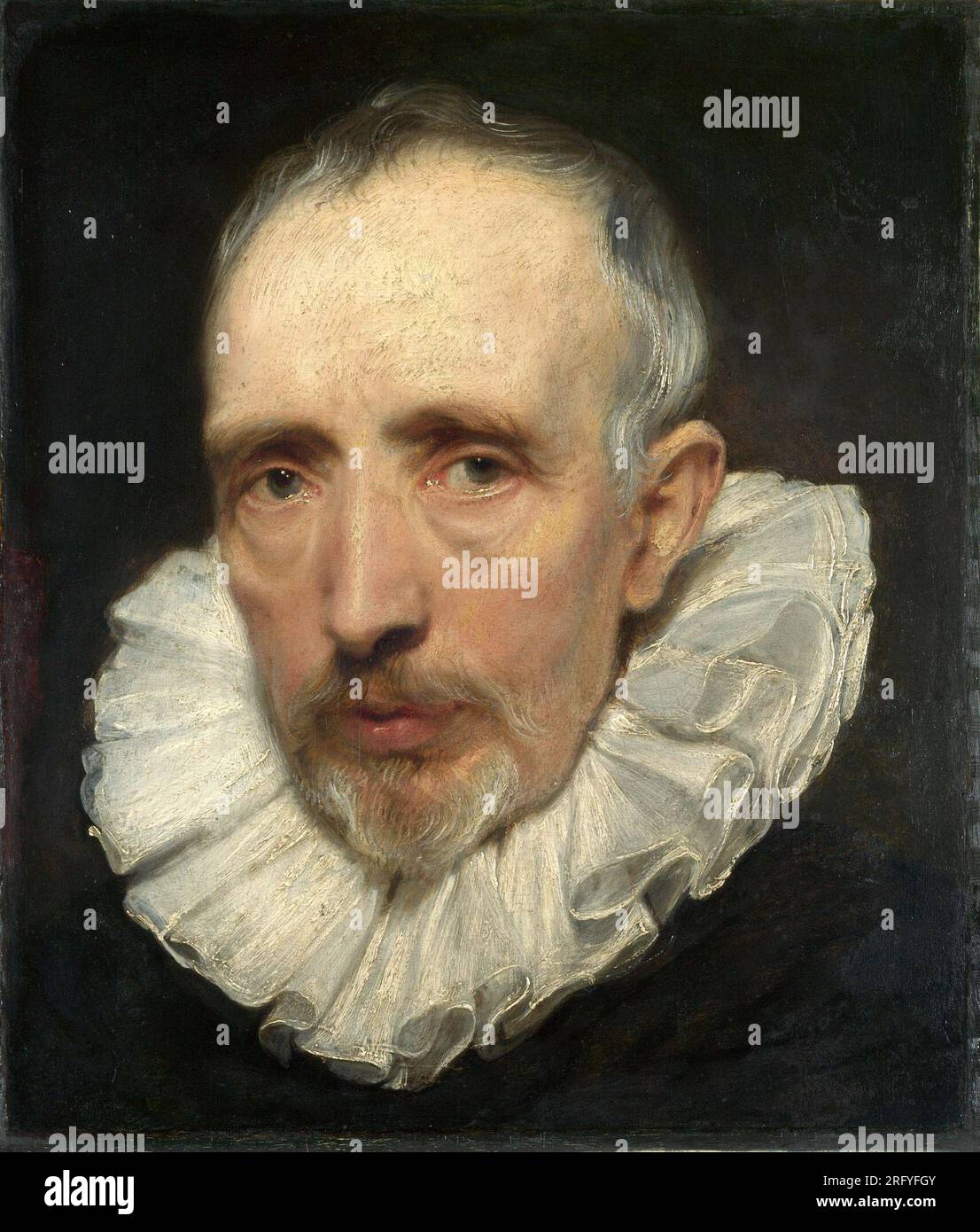 Portrait of Cornelis van der Geest circa 1620 by Anthony van Dyck Stock ...