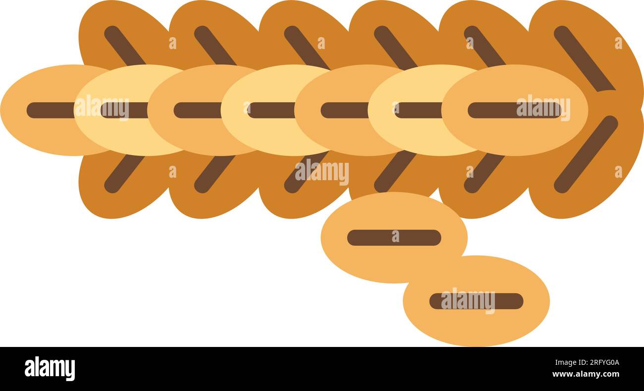 Kopi Luwak vector icon Stock Vector Image & Art - Alamy